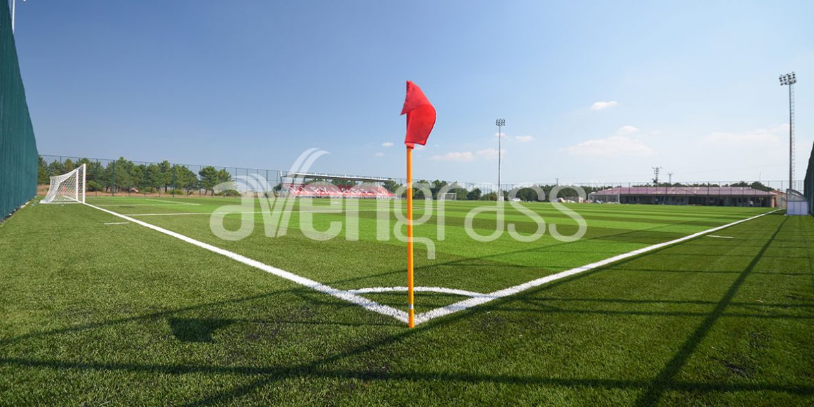 A New Solution for Sports Fields: Hybrid Grass!